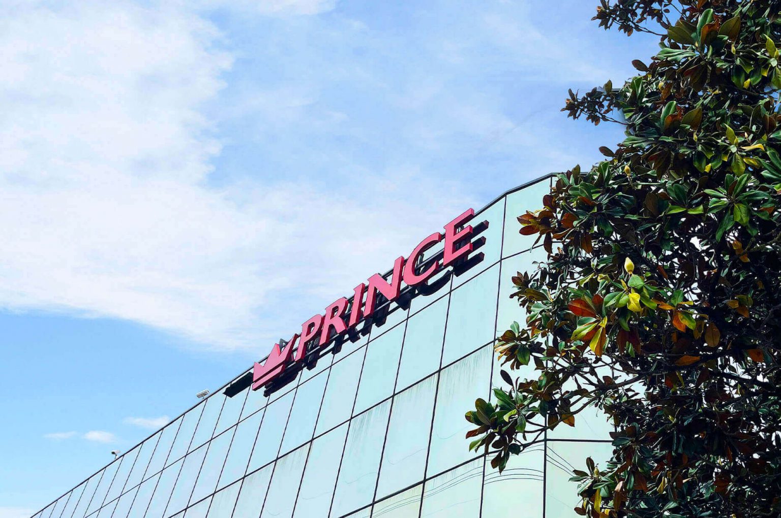 Website Design & UX & Digital for Prince Corporation